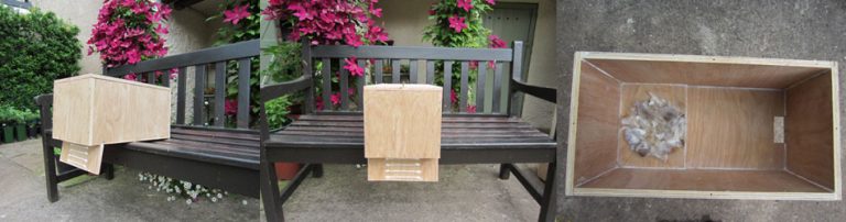 Swift nest box designs free instructions for eaves and corner swift boxes