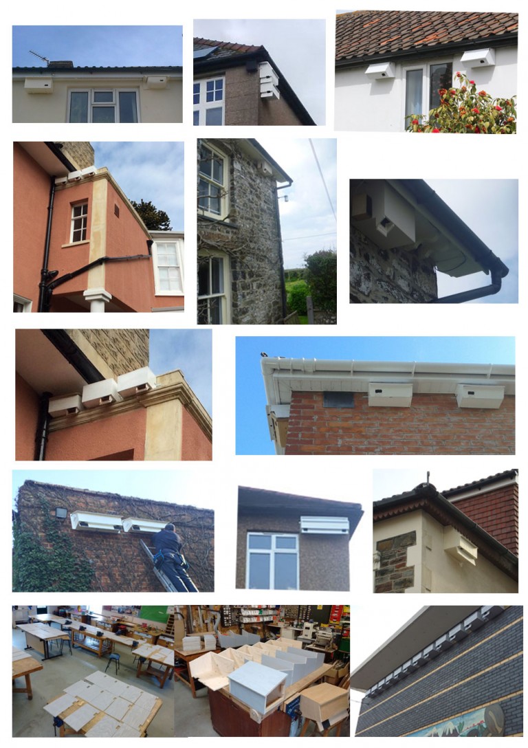 Swift nest box designs free instructions for eaves and corner swift boxes