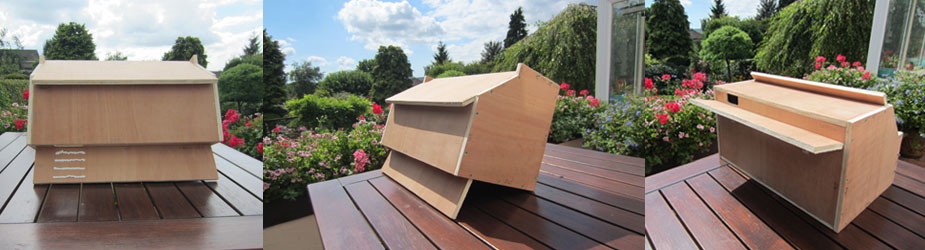 Swift nest box designs free instructions for eaves and corner swift boxes
