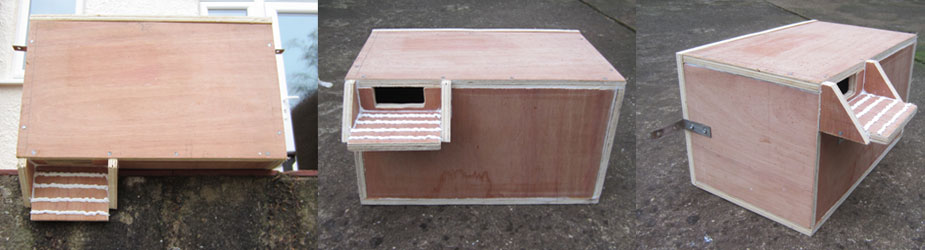 Swift nest box designs free instructions for eaves and corner swift boxes