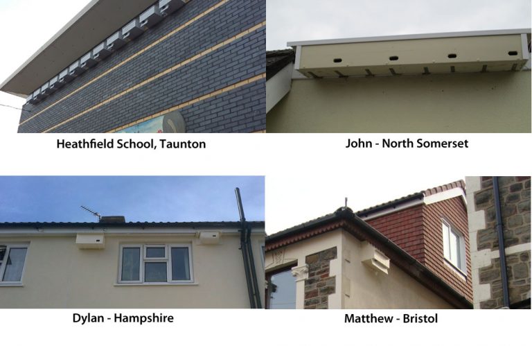 Photos of your Swift Boxes - Bristol Swifts