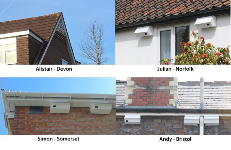 Photos of your Swift Boxes - Bristol Swifts