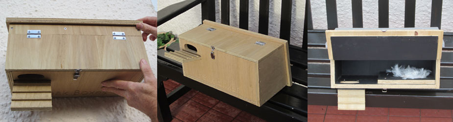 Swift Boxes to Buy - Bristol Swifts